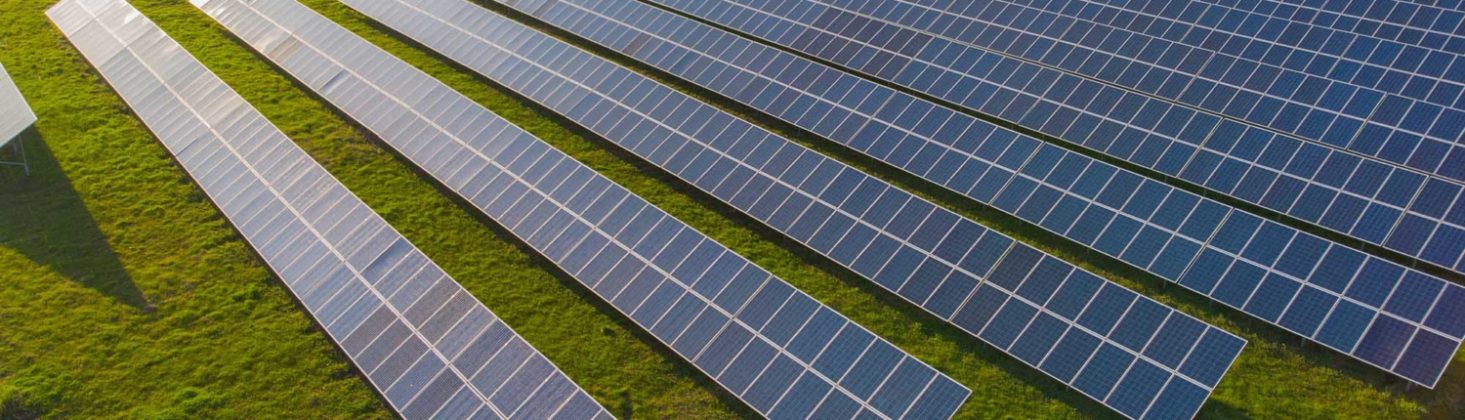 Light up your path way with solar-powered bricks