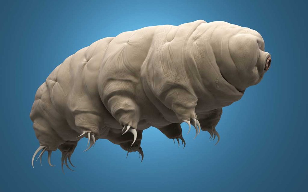 Tardigrades survive just about anything and scientists still don't know ...
