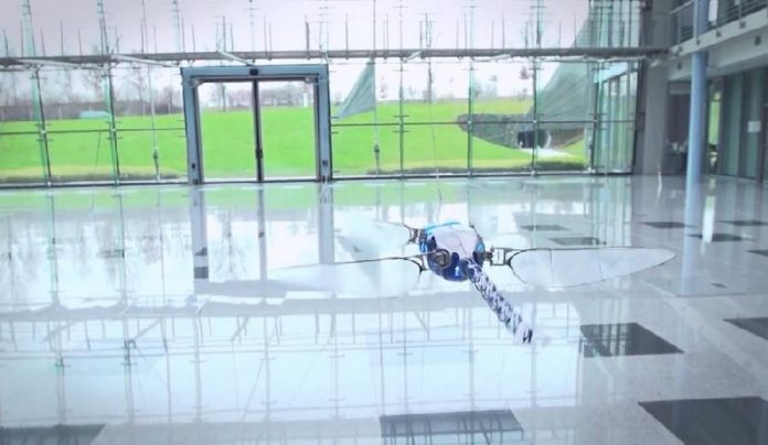 Festo BionicOpter may bring dragonfly drones to a sky near you - TECHi